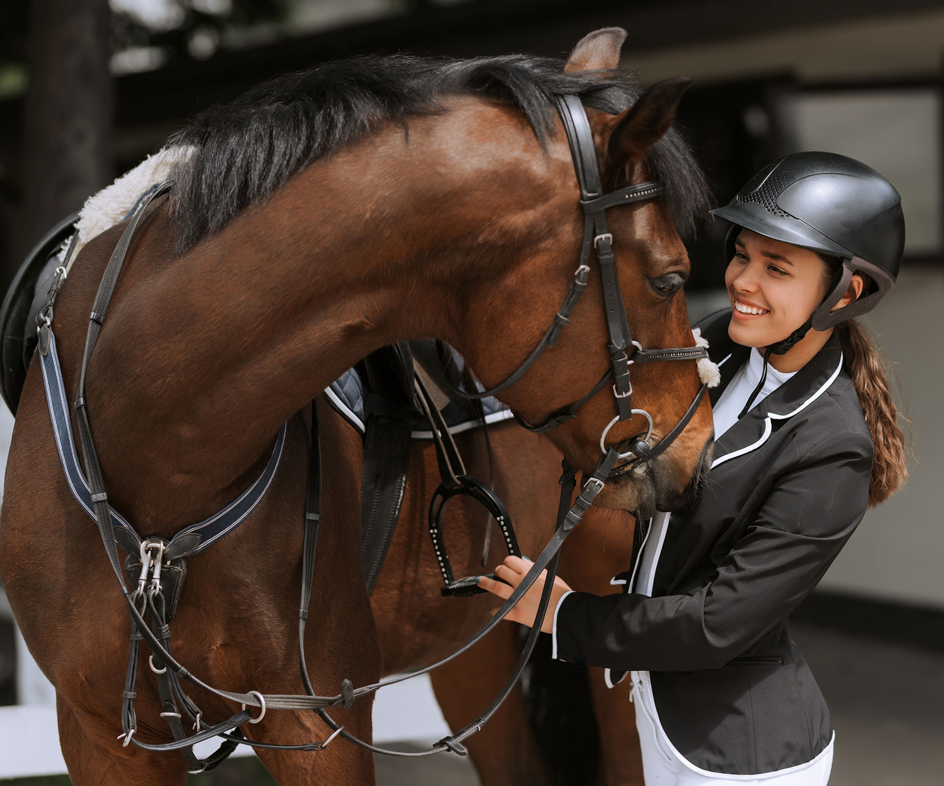 Taking your equestrian skills to the next level - Equine Lingo